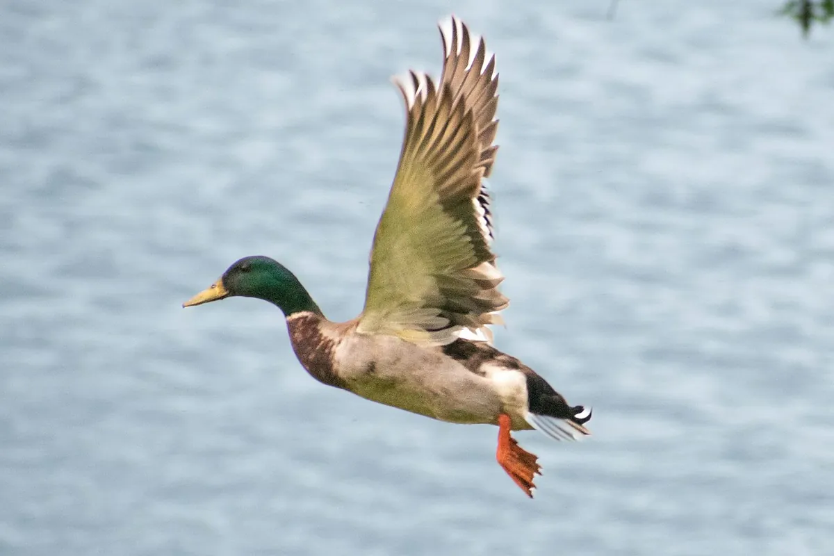 Acciones Urban Outfitters hoy cotización en tiempo real | EXPANSIÓN