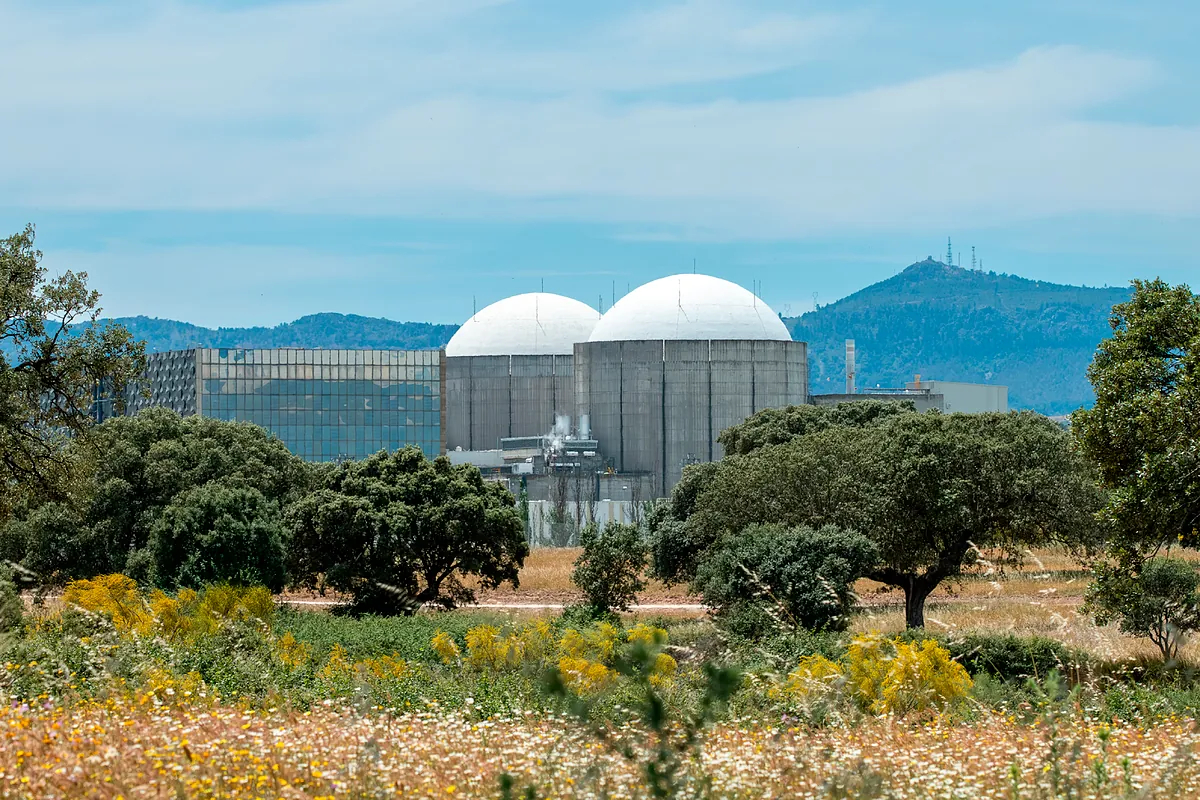 Iberdrola y Endesa paran Almaraz en otro pulso al Gobierno | Energía