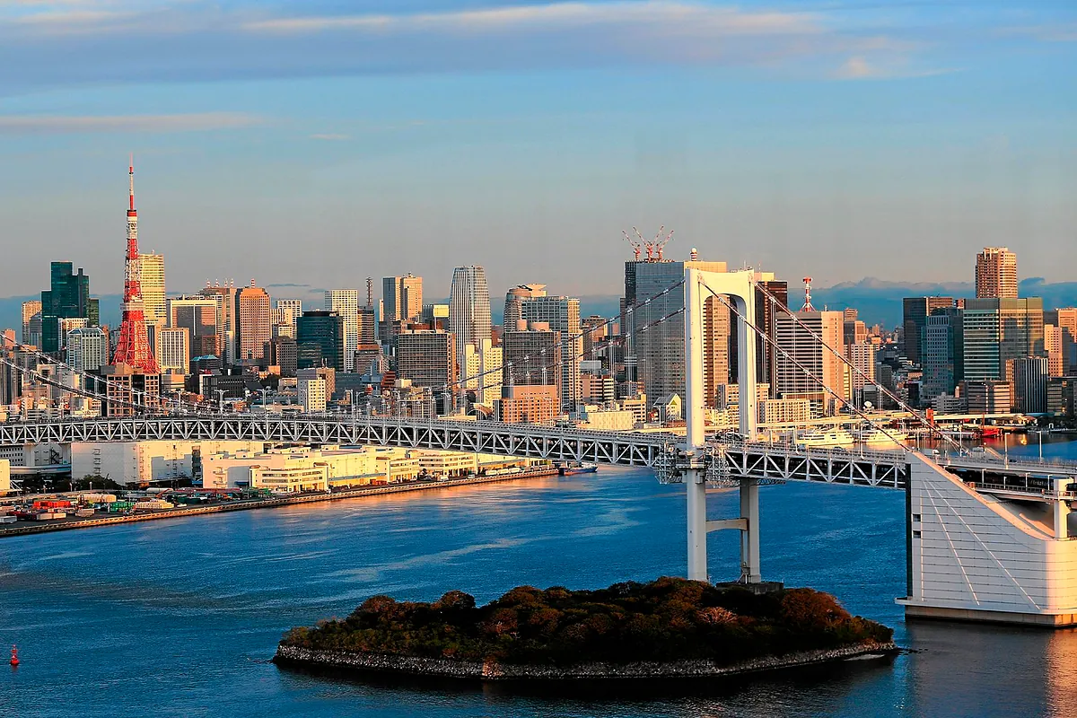 La estrategia de Japón para la seguridad de las materias primas merece ...