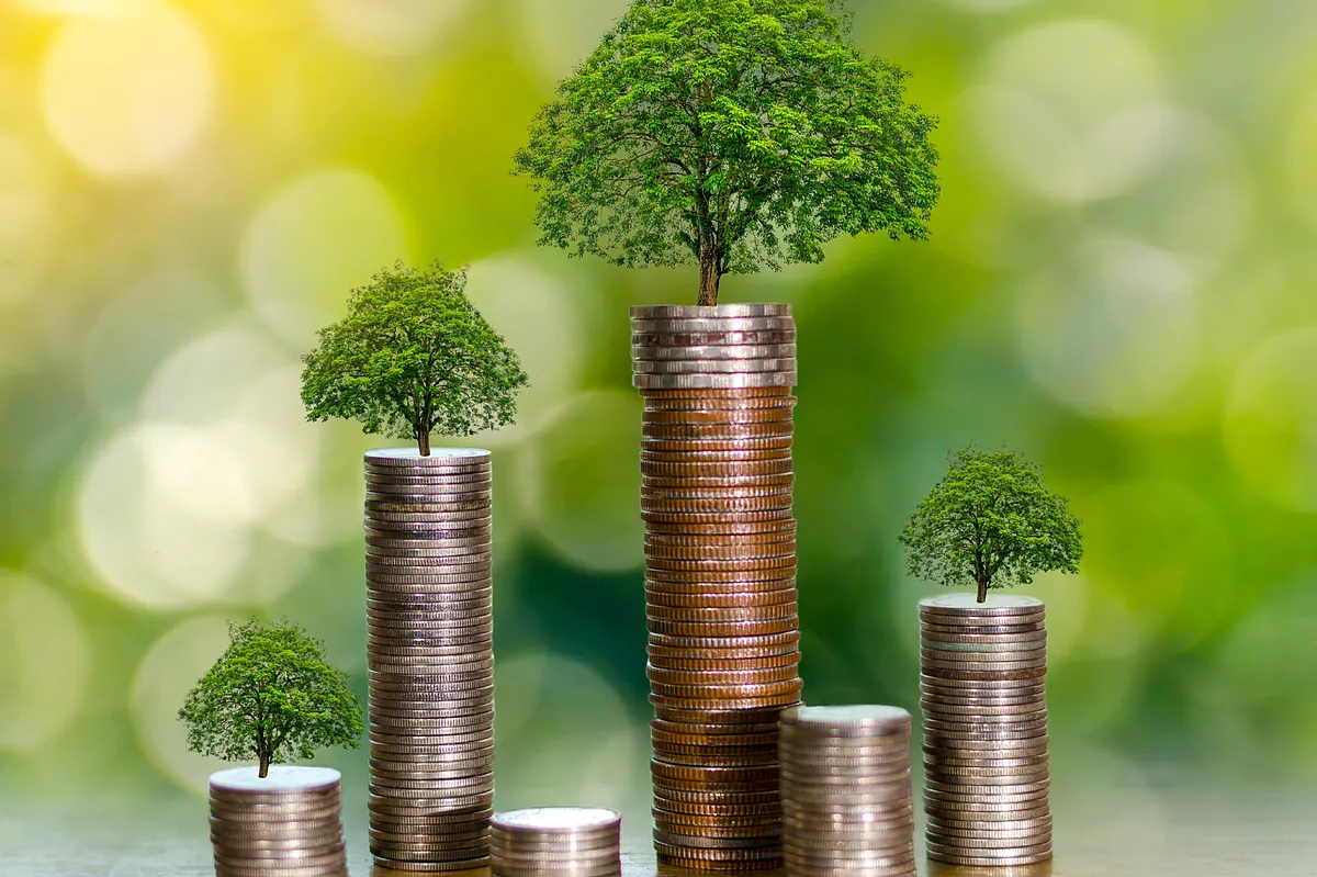 Inversión sostenible: volver al buen camino | Economía sostenible