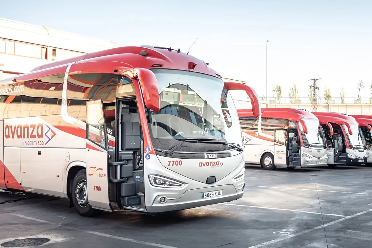 avanza bus